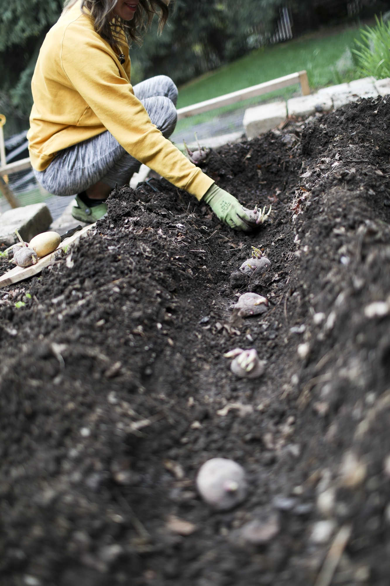 the garden spot potato & valley nursery photos 2020_13-1 – The Garden Spot